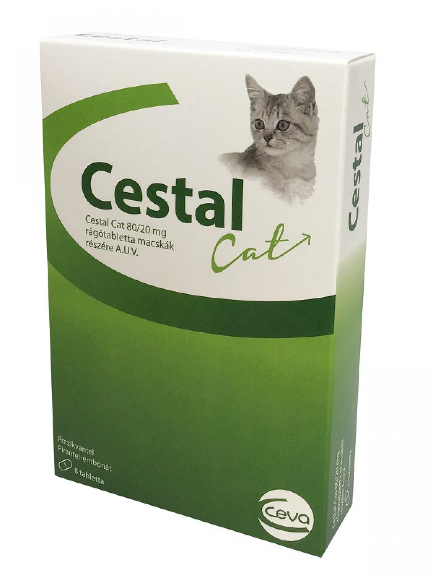 Cestal Cat 8X | Pharmy Online Patika